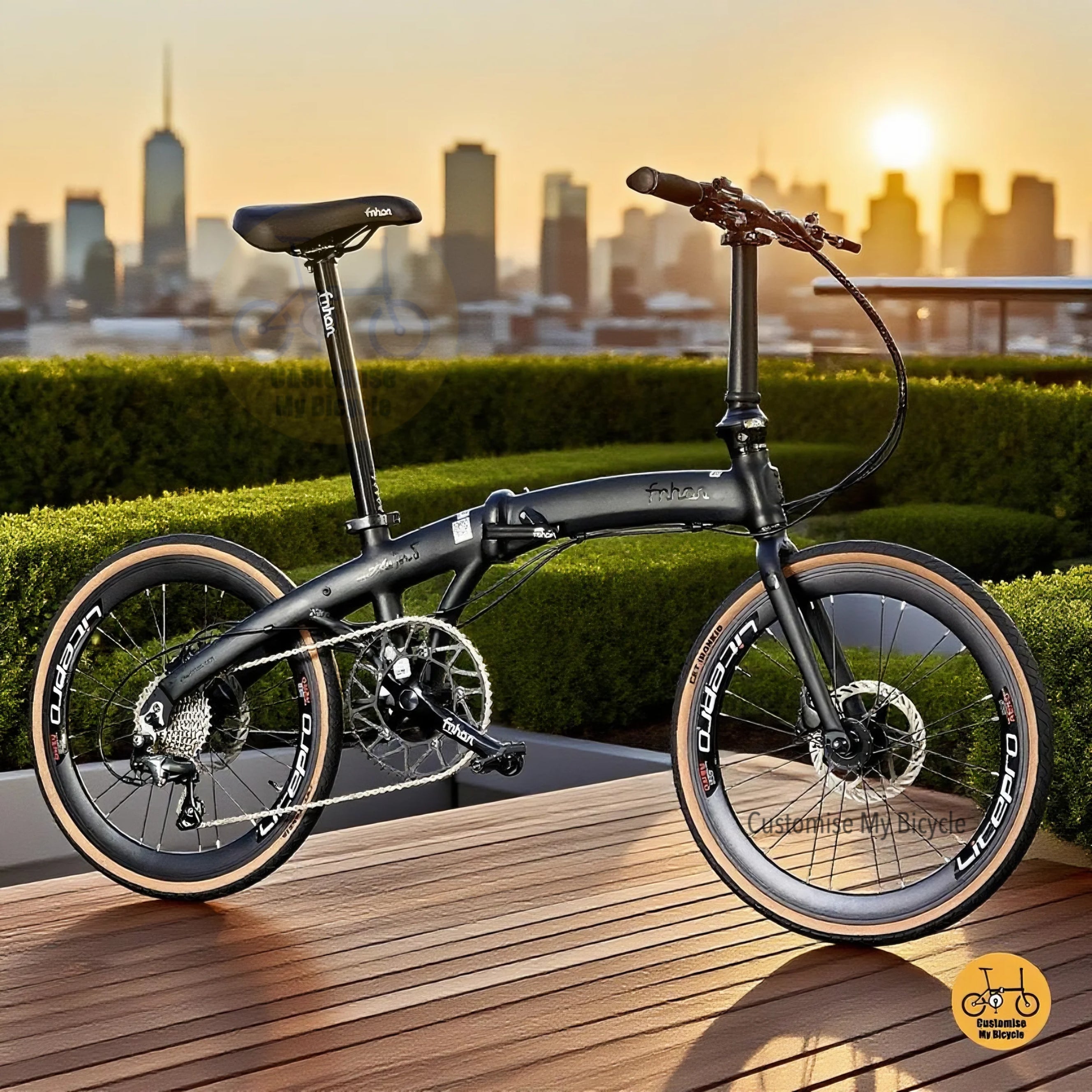 Fnhon Wind 22 inch folding bike Shimano 10s matte black Litepro wheels ...